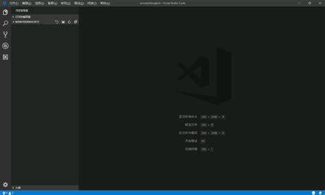 使用vscode远程调试服务器部署的nodejs服务 Conorpai的博客