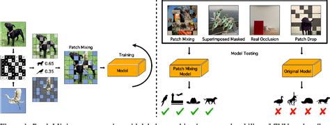 Figure 1 From Hardwiring Vit Patch Selectivity Into Cnns Using Patch
