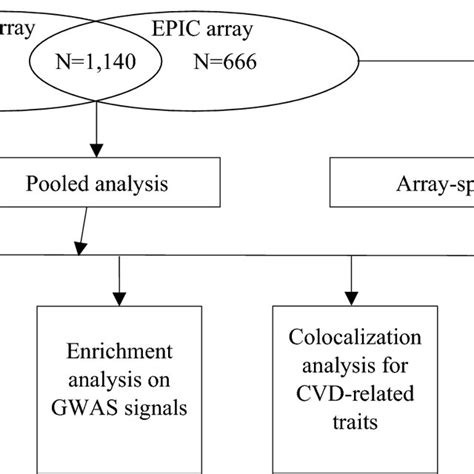 Heritability Of Dna Methylation Explained By The Cis And Trans Mqtls