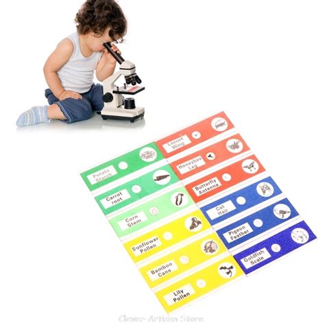 12 Pcs Prepared Microscope Slides Set Specimen For Grandado