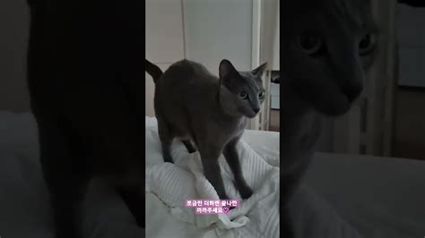 오늘의 할일 Youtube