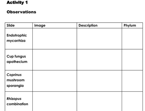 Solved Survey Of Fungi