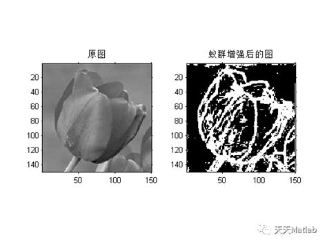【图像检测 显著性检测】基于蚁群算法优化图像视觉显着性检测附matlab代码 阿里云开发者社区