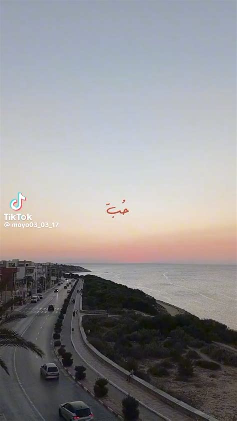 Marwa Ben Aziza Marwabenazizamd • Instagram Photos And Videos