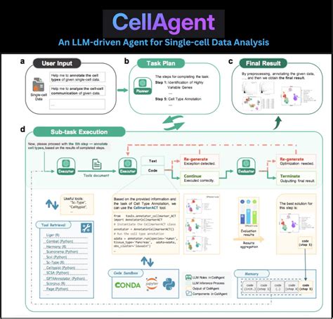 Cellagent A New Age Of Automated Single Cell Data Analysis Cbirt