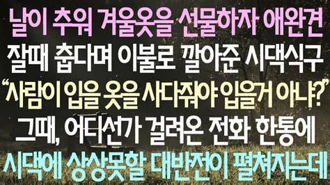 날씨가 추워서 겨울옷을 선물하기로 했고 애완견이 자는 동안 춥다며 이불을 덮어준 시어머니 그때 예기치 못한 전화를 받으면서 시댁에서 예상하지 못한 큰 반전이 일어난다