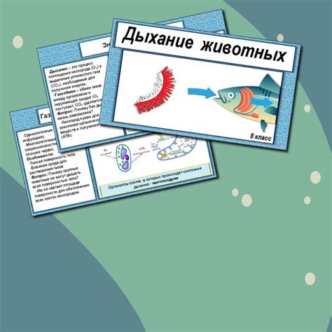 Презентация по биологии в 8 классе «Дыхание животных