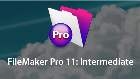 FileMaker Pro 11 Beginner Intermediate Advanced Bundle