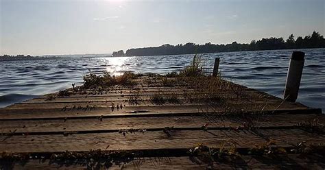 Someone Needs To Mow Their Float Plane Dock Album On Imgur