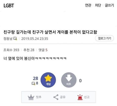 내친구가 자긴 살면서 게이못봤다고 함ㅋㅋ 웃긴 밈 웃긴 장난 웃긴 인용구