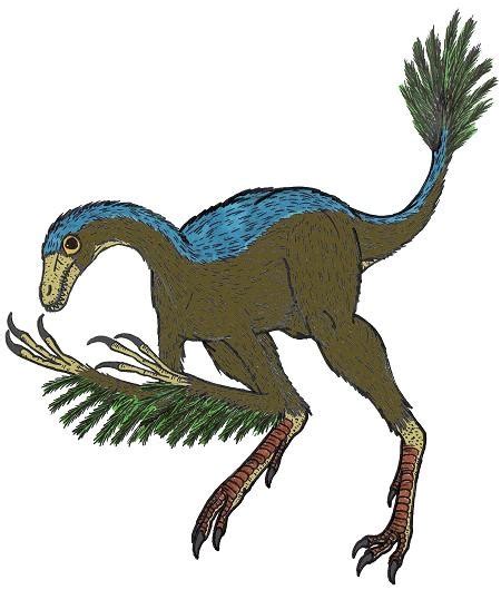 Protarchaeopteryx Pictures And Facts The Dinosaur Database