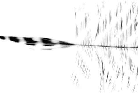 Palmer Hackling Global Flyfisher