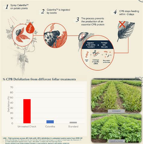 微流控微液滴生成pdms芯片 Fluidiclab微流控实验室值得您信赖的微流控合作伙伴