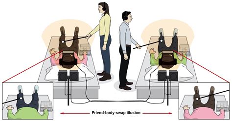 Body Part Swap Interactive Dicks Perdh