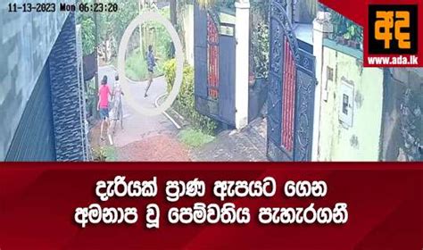 දැරියක් ප්‍රාණ ඇපයට ගෙන අමනාප වූ පෙම්වතිය පැහැරගනී Ada Online