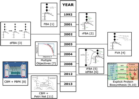 frontiers constraint based modeling going multicellular