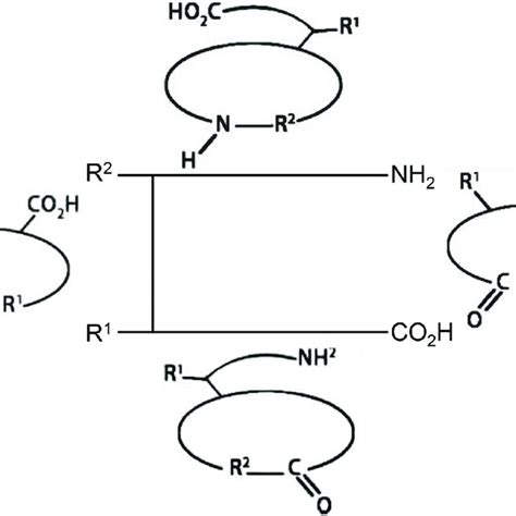 Siclopps For Macrocyclic Peptide Synthesis And Discovery A Schematic