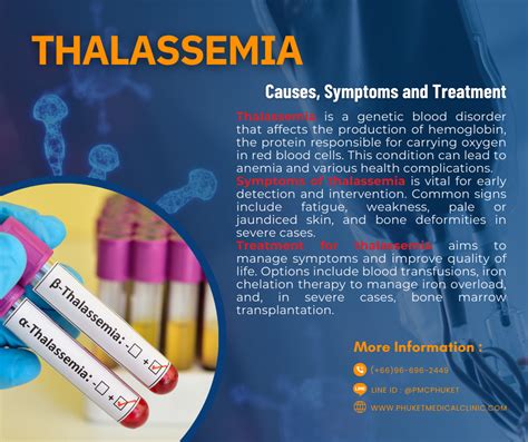 Thalassemia Causes Symptoms And Treatment Phuket Medical Clinic