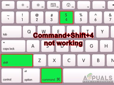 How To Fix Command Shift Shortcut Not Working On Macos