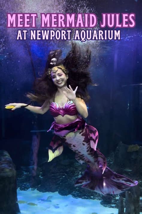 Mermaid Jules The Pink Mermaid