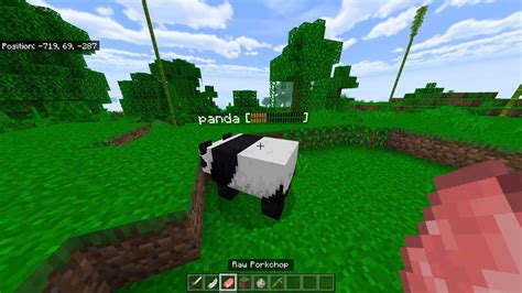 Any Mob Health Display Addon MCPE Bedrock Mod Aadhu