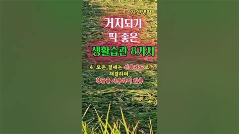 거지되기 딱 좋은 생활습관 8가지 Shorts명언인생조언인생명언삶의지혜철학처세자기계발대인관계비밀조언 Youtube