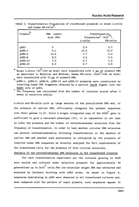 Fate Of Exogenous Recombinant Plasmids Introduced Into Mouse And Human