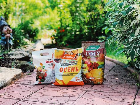 9 лучших удобрений для осени — рейтинг 2024 года