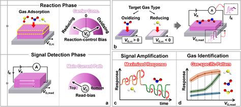 Novel Gas Sensor Signal Acquisition Method Amplifying Sensor Signals And Enabling Efficient Gas