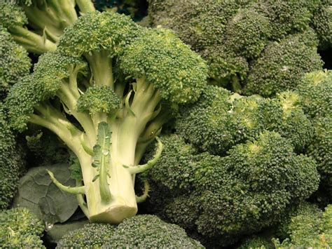 The Amazing Health Benefits Of Broccoli An Exceptional Anticancer Superfood And More Hubpages