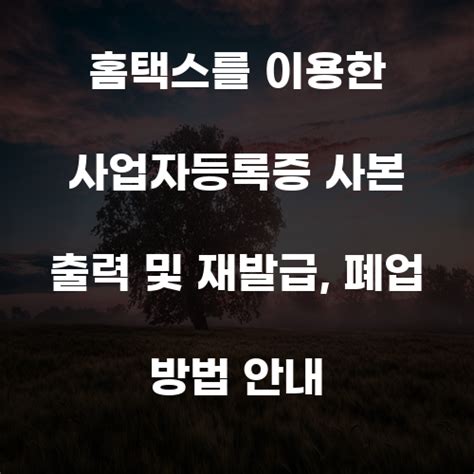 홈택스를 이용한 사업자등록증 사본 출력 및 재발급 폐업 방법 안내 홈택스를 이용한 사업자등록증 사본 출력 및 재발급 폐업 방법 안내