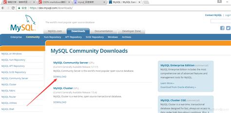 Javaweb之mysql的安装java的mysql安装教程 Csdn博客