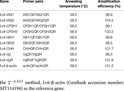 Calculate Primer Efficiency Qpcr At Antonio Fore Blog