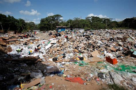 En Edomex Descubrieron El Cuerpo De Un Hombre Que Estaba Siendo Devorado Por Un Perro Infobae