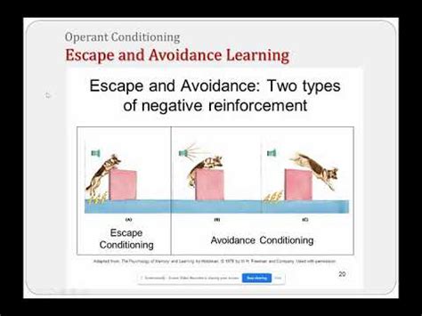 OC Escape And Avoidance Learning YouTube Operant Conditioning Learning Homebabe