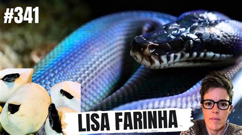 How Lisa Got Her White Lipped Pythons To Breed YouTube
