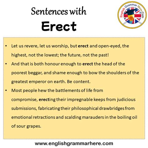 Sentences With Erect Erect In A Sentence In English Sentences For