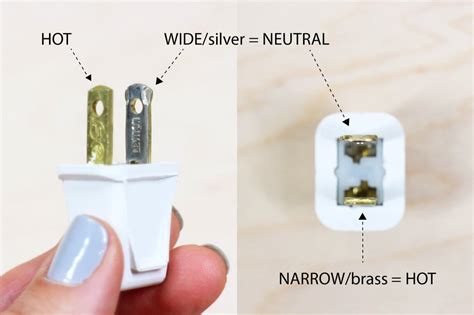 Understanding Plugs — Mooiehome