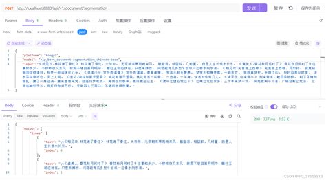 大模型：文本分割模型 Csdn博客