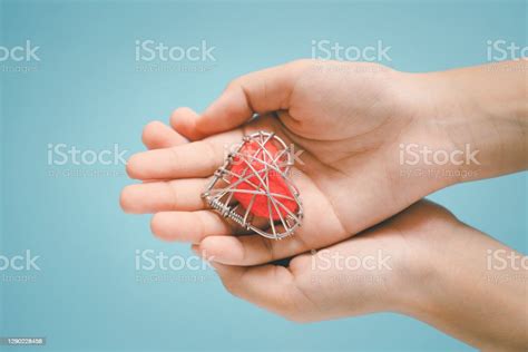 파란 배경 사랑 건강 관리 장기 기증 마음 챙김 웰빙 보험 및 Csr 개념 세계 보건의 날 국가 장기 기증자의 날로 강한 마음을 들고 있는 손 World Heart Day에