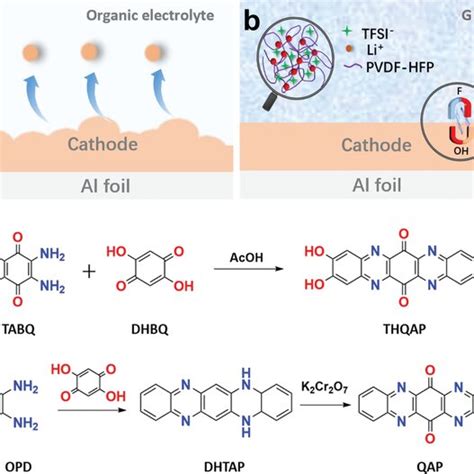 A Cycling Performance Of Thqap And Qap With Gpe‐08 At 200 Ma G⁻¹ Eis