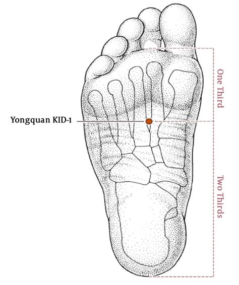 K1 Acupuncture Point Download Scientific Diagram