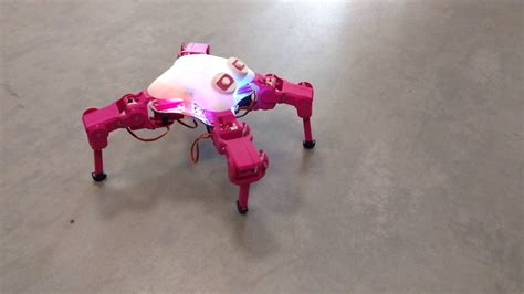 Quadruped Robot Walking Algorithm Success YouTube