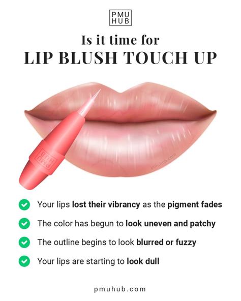 Lip Care After Lip Blush At Tara Brothers Blog
