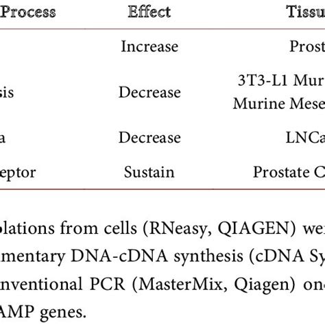 Stamp1 Steap2 Promoter Region Response Element Sequence Download Scientific Diagram