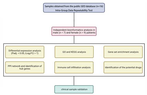 Sex Differences In Arteriovenous Fistula Failure Insights From