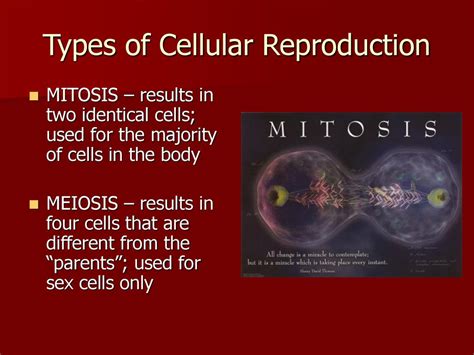 Cell Reproduction Mitosis And Meiosis Ppt Download