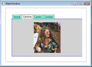 WPF Apresentando O Controle TabControl