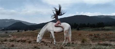 图像距离变换的作用 知乎