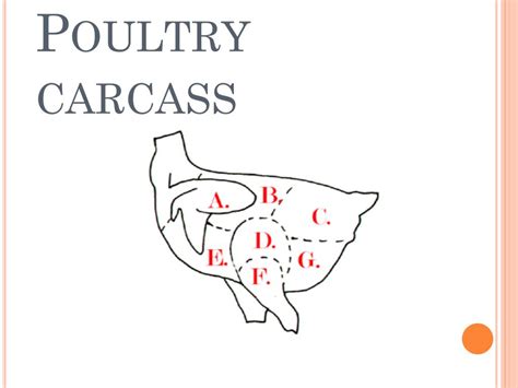 Ppt General Meat Carcass Information Powerpoint Presentation Free